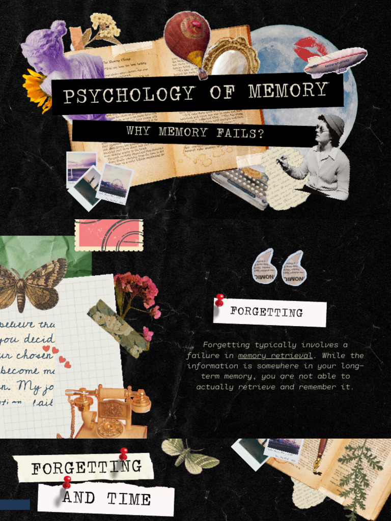 The Psychology of Memory | PDF | Recall (Memory) | Memory