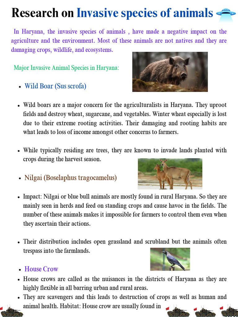 Invasive Species of Animals: Research On | PDF