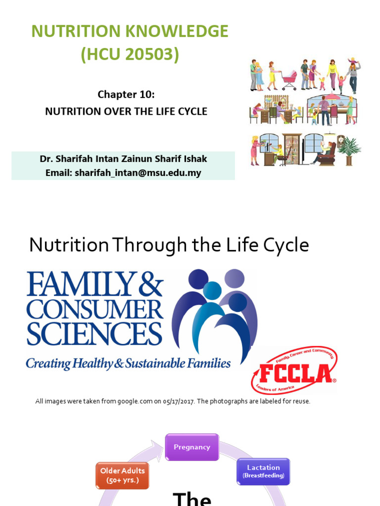 Chapter 10 - Nutrition Over The Life Cycle | PDF | Human Nutrition ...