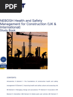 NEBOSH IDip Sample Exam | PDF