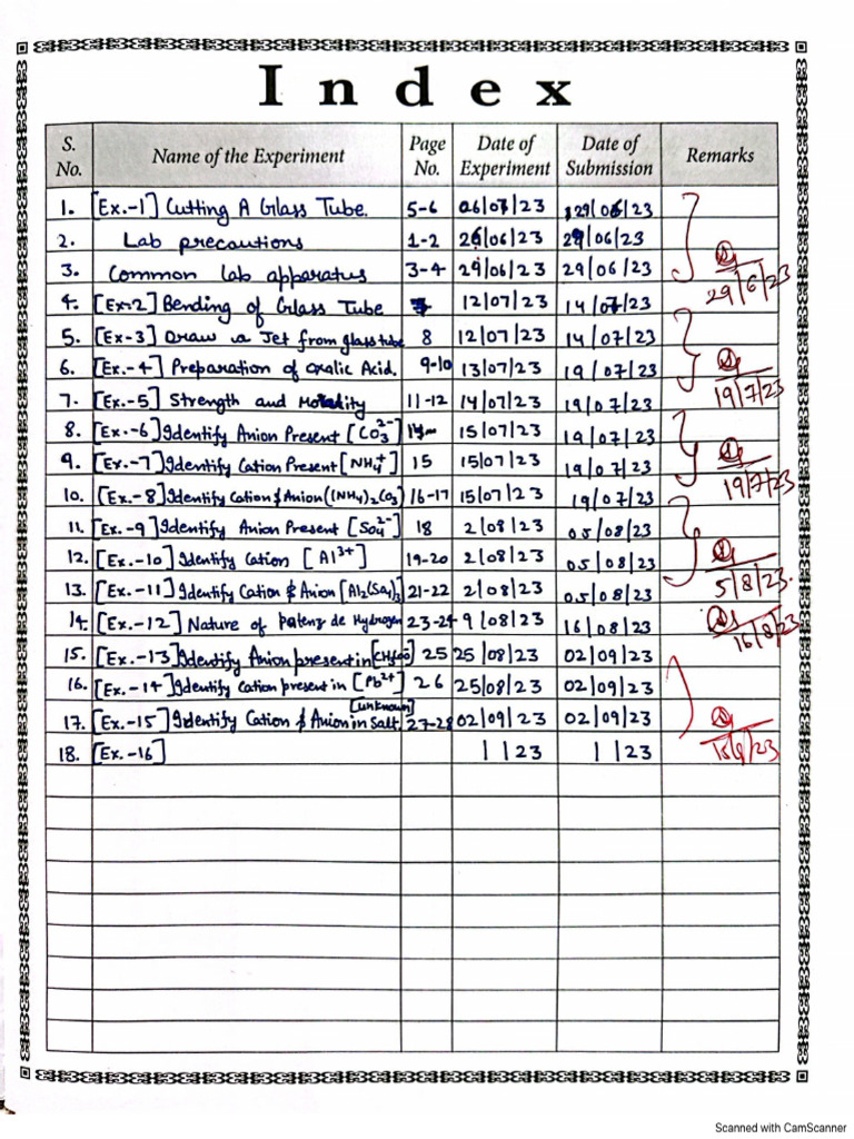 Class XI Practical's | PDF