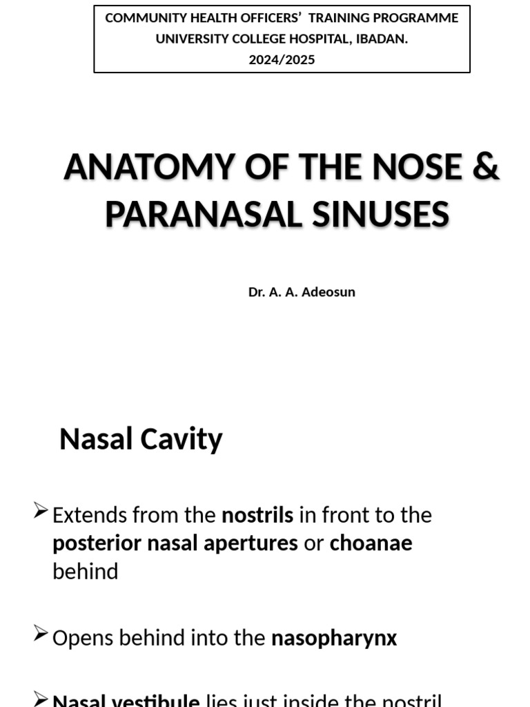 Anatomy of The Nose & Paranasal Sinuses | PDF | Human Nose | Human Head ...