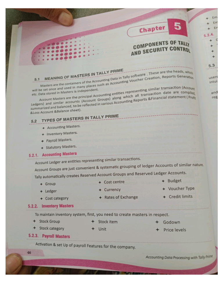 Components of Tally and Security Control | PDF