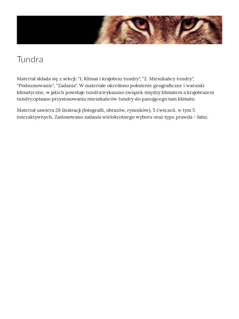 Tundra | PDF