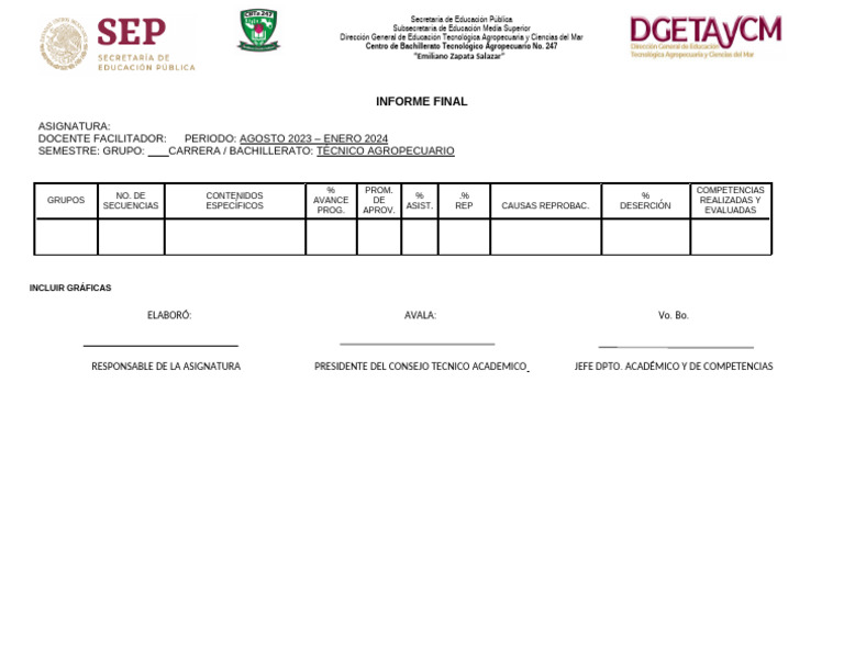 FORMATO INFORME FINAL | PDF