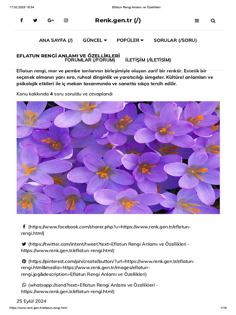 Eflatun Rengi Anlamı Ve Özellikleri | PDF