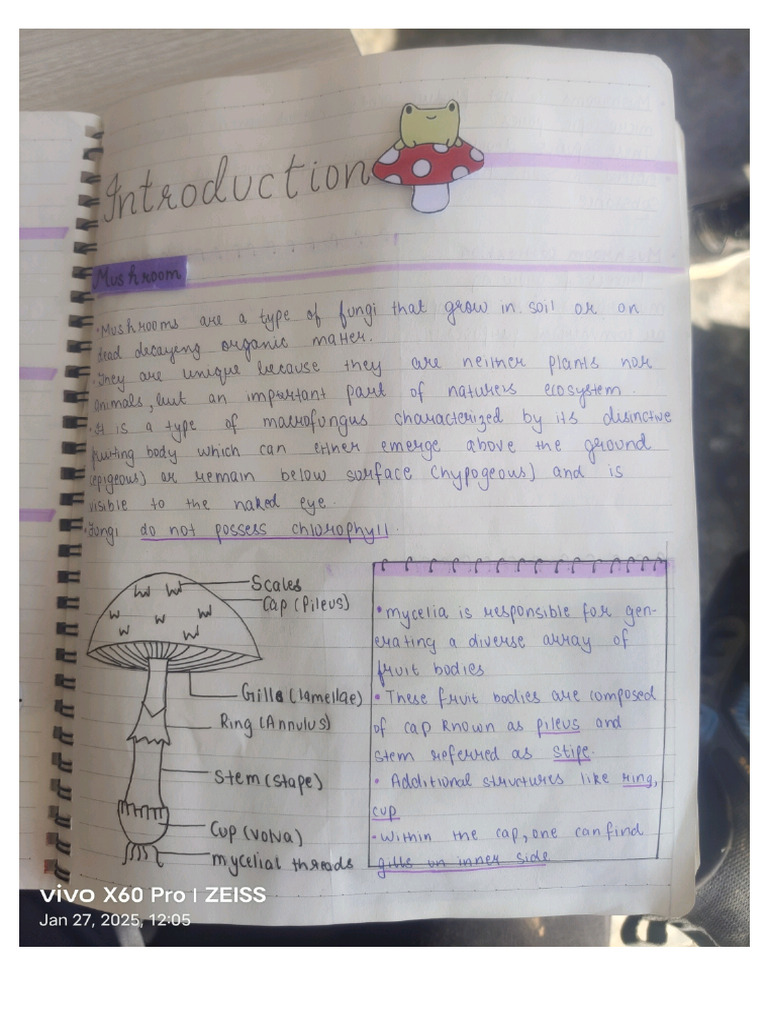 LPDF | PDF