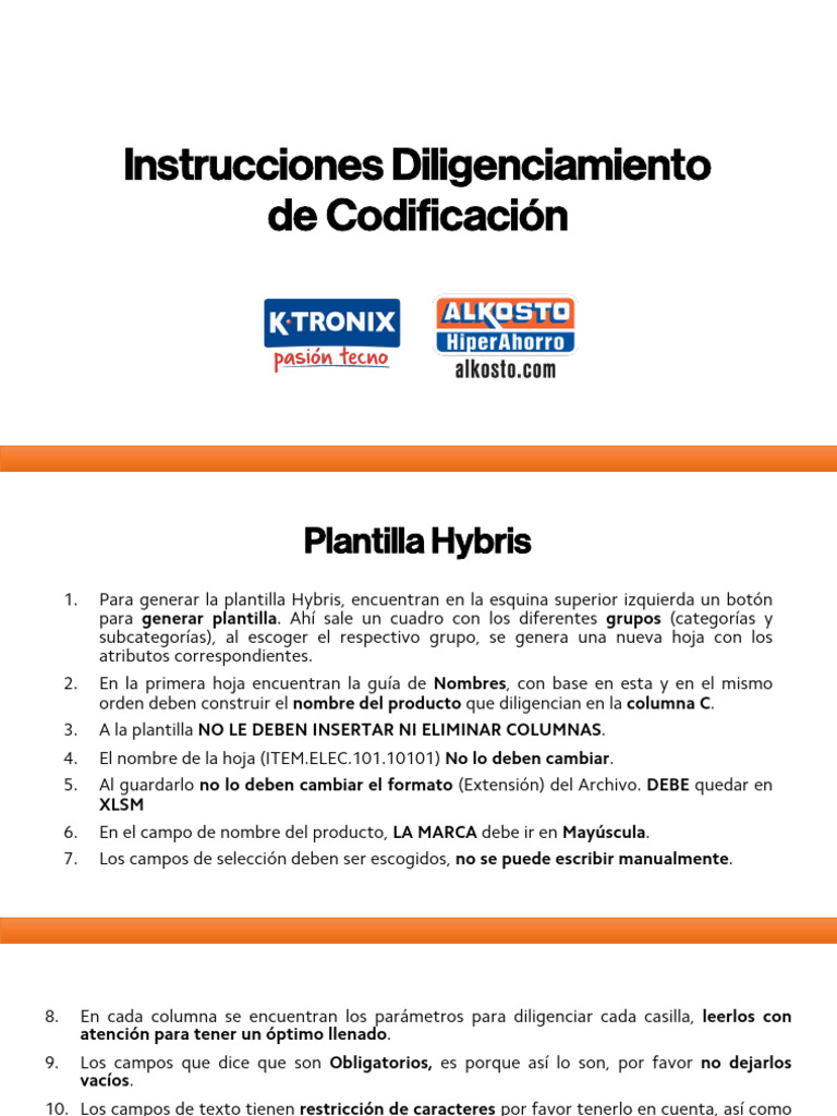 Instrucciones Plantilla Hybris 2022 | PDF
