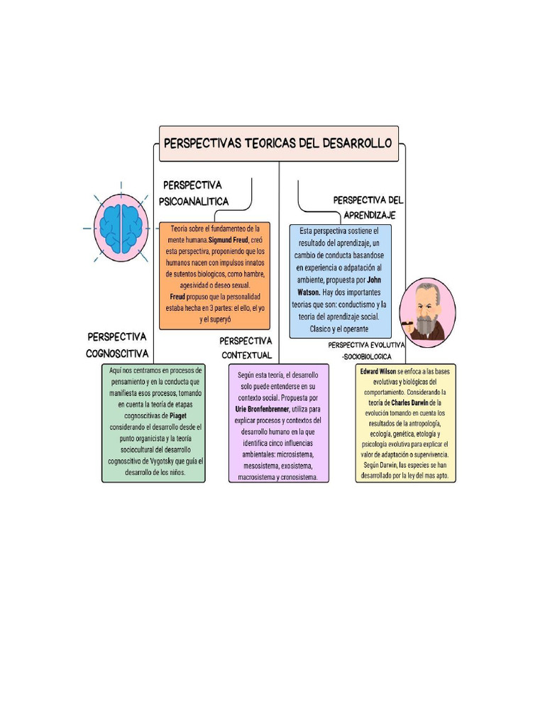 Mapa Conceptual Perspectivas Teoricas Del Desarrollo | PDF