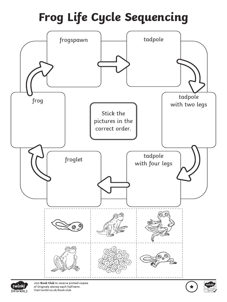 T SC 1674130707b Frog Life Cycle Differentiated Sequencing Activity ...