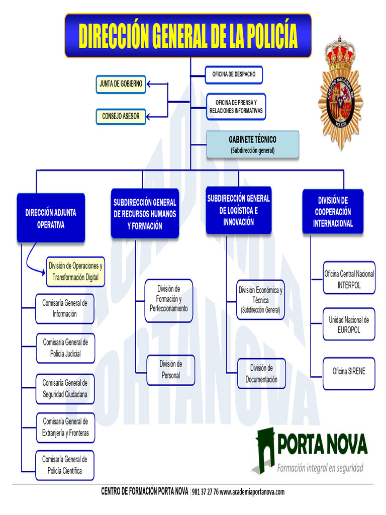 8 Organigrama DGP (Agosto 2020) v2 | PDF | Cumplimiento de la ley | Crimen y violencia