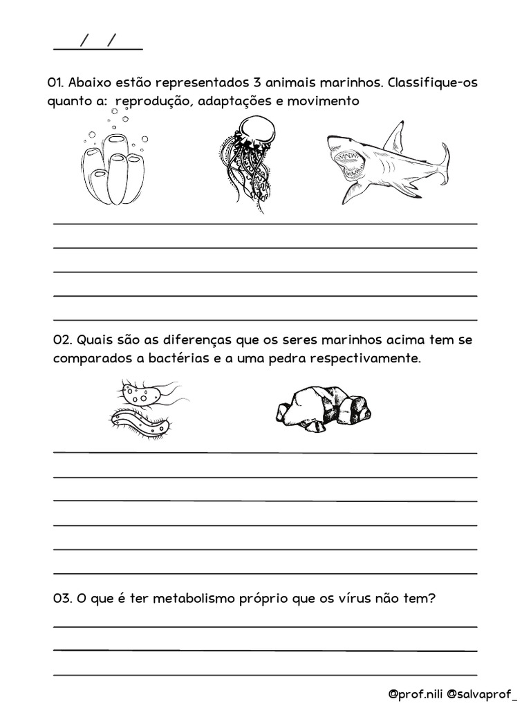 Exerc¡cio Comparativo - Resposta Discurssiva | PDF