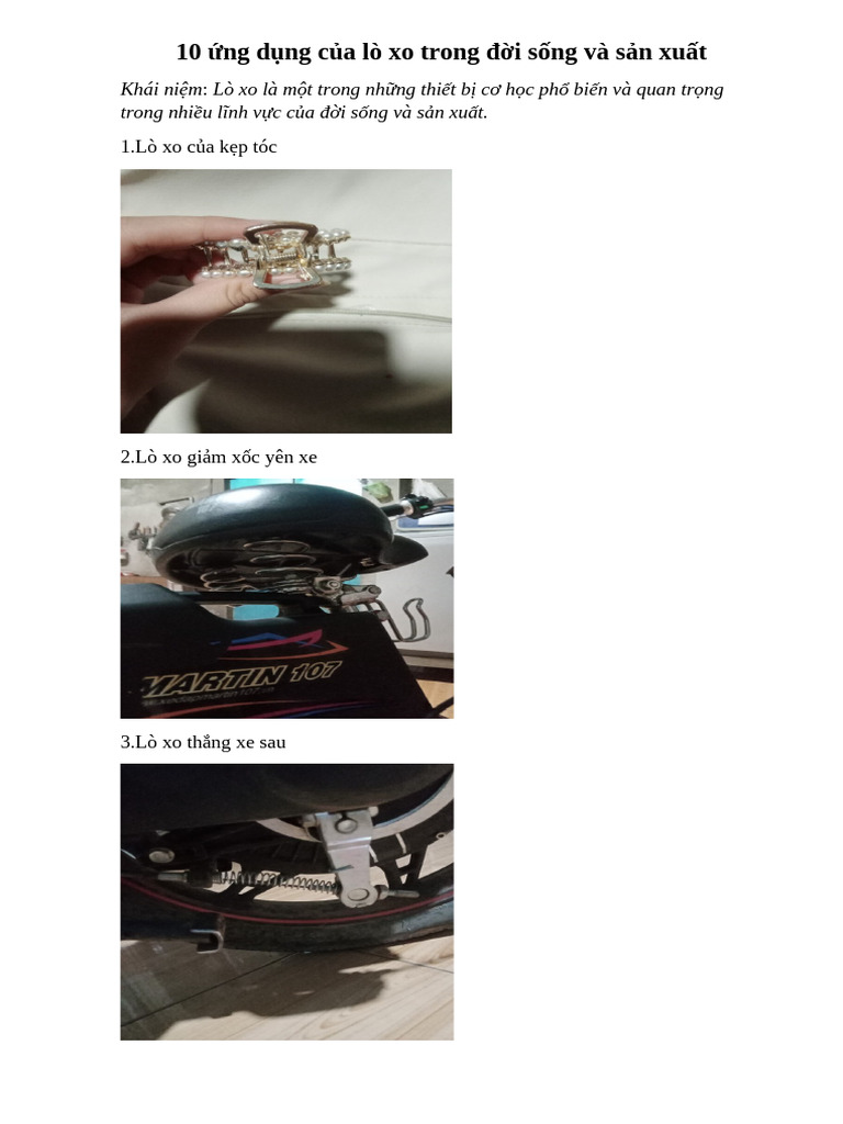 Nguyễn Ngọc Mai Vân-10a1 | PDF