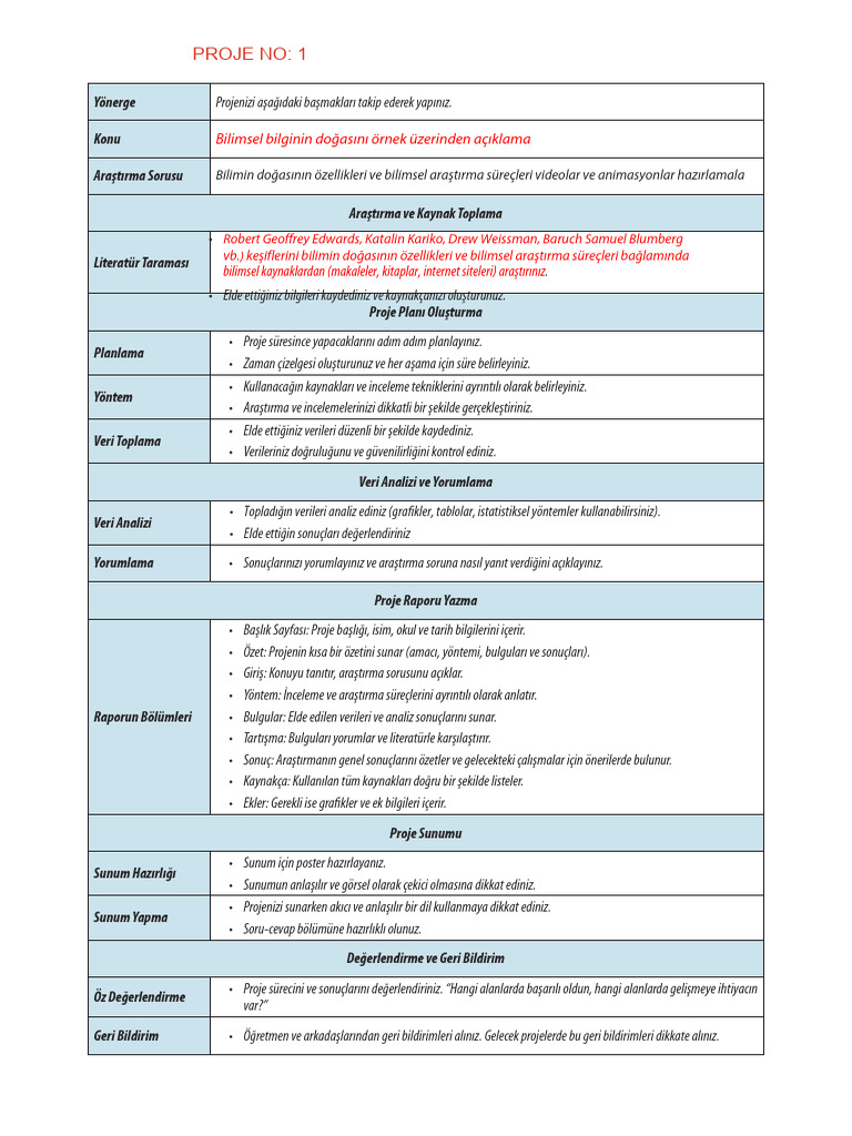 9. SINIF PROJE ÖDEV KONULARI 20 | PDF
