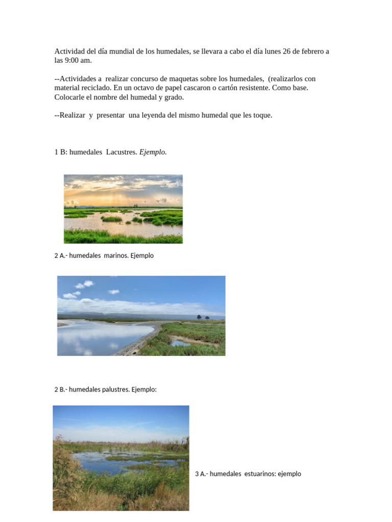 Actividad Del Día Mundial de Los Humedales. | PDF