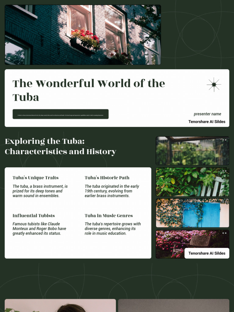 The Wonderful World of The Tuba | PDF | Brass Instruments | Aerophones