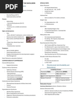 Shoulder Examination Protocol Guide | PDF