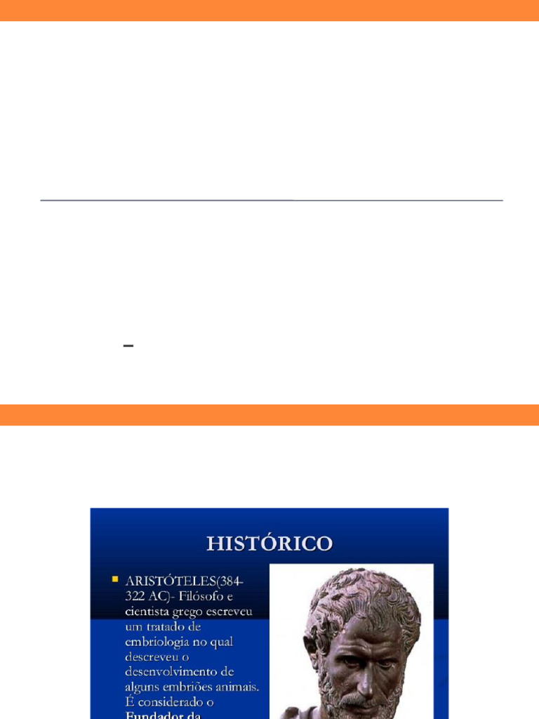 Etapas da Embriogênese e Desenvolvimento | PDF | Placenta | Fertilização