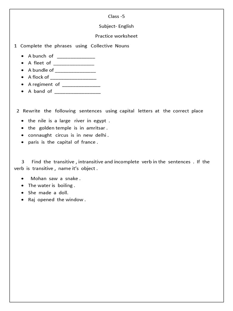 Worksheet Class 5 | PDF