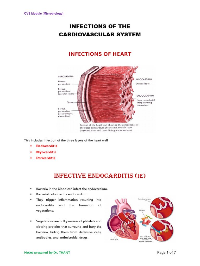CVS 02. Infections of heart | PDF | Streptococcus | Staphylococcus