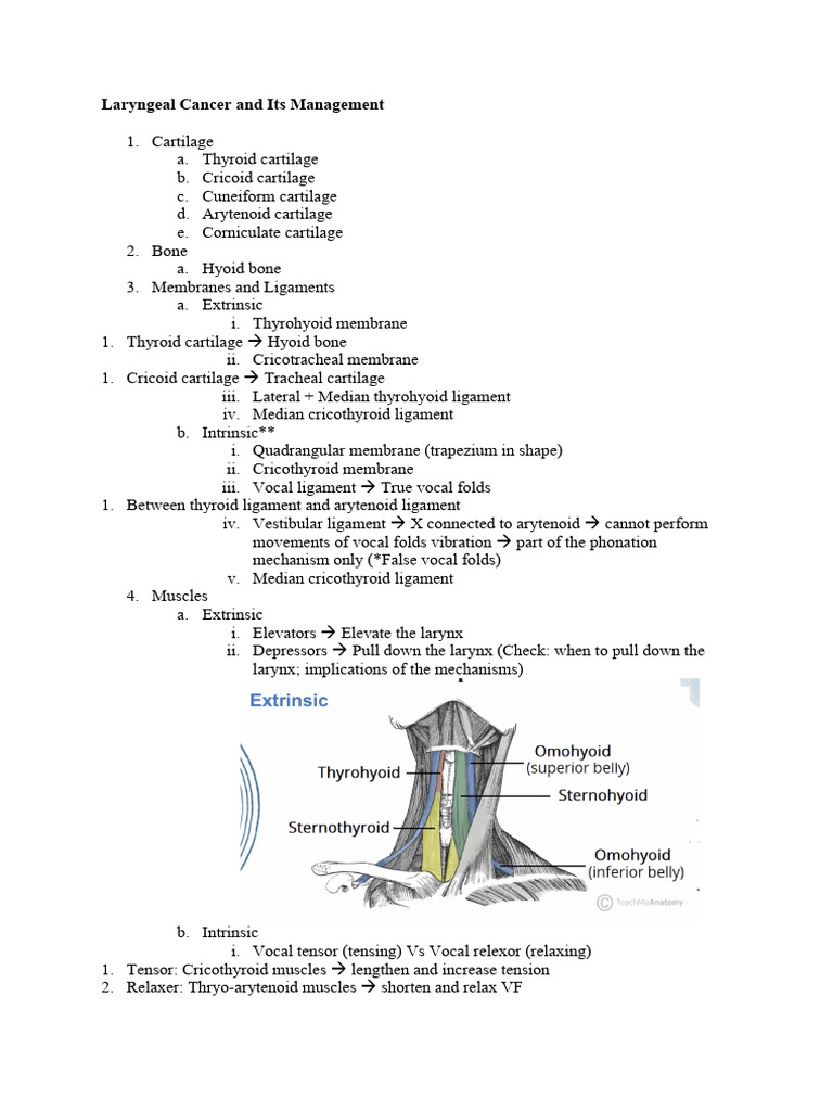 Alaryngeal Speech Characteristics | PDF | Larynx | Human Voice