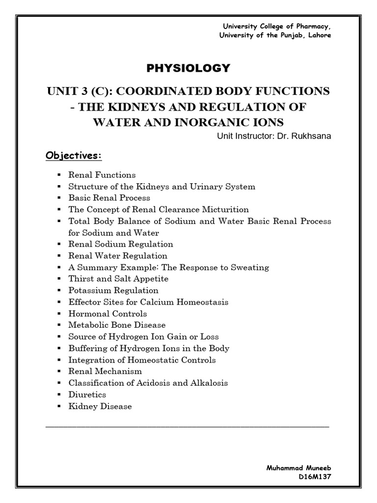 Renal Physiology by M.muneeb | PDF | Kidney | Urinary System