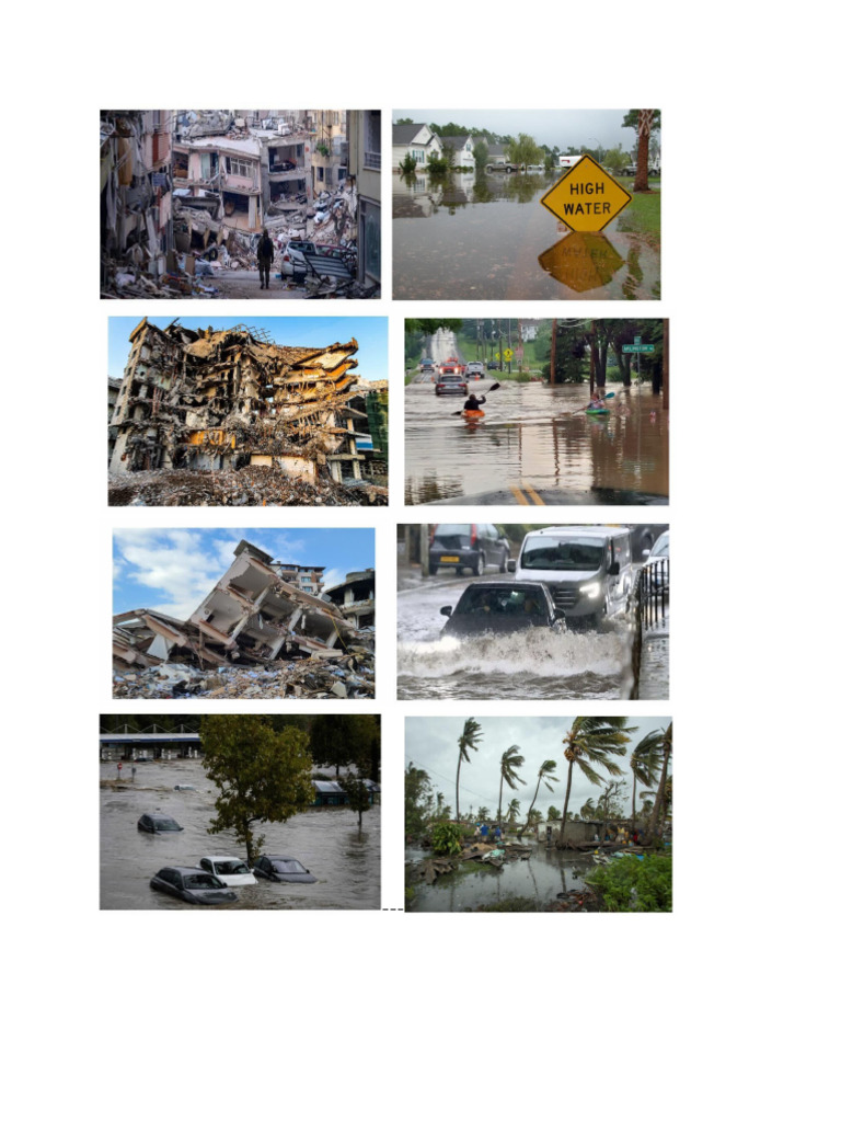 Disasters | PDF