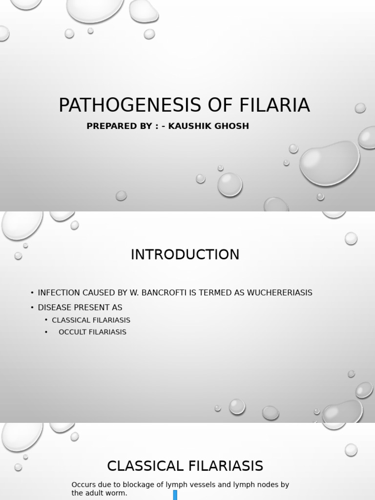 U2 H Pathogenesis Filaria | PDF | Lymphatic System | Inflammation