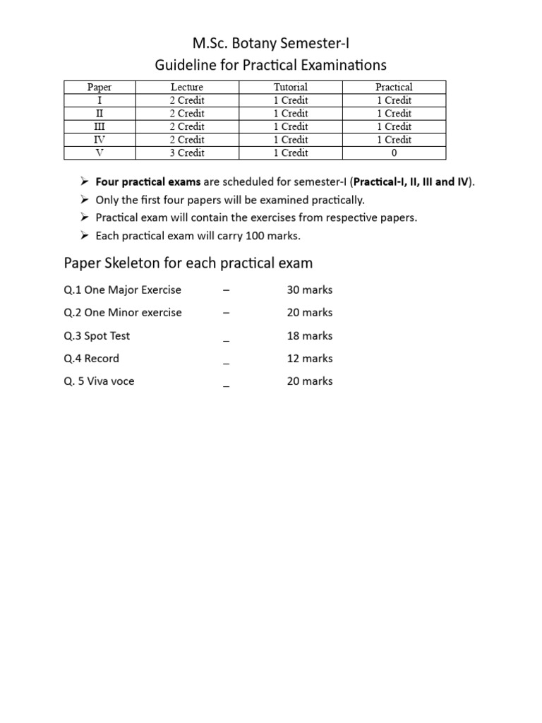 Semester-I Practical Exam Guideline | PDF