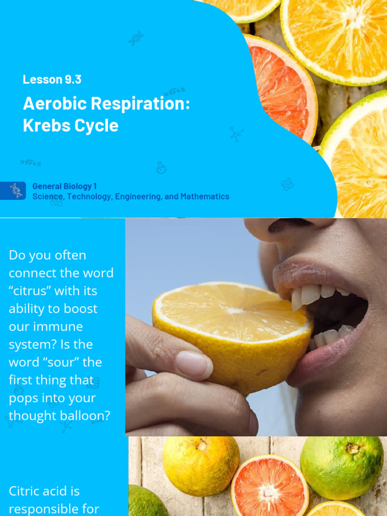 Krebs-Cycle | PDF | Citric Acid Cycle | Chemistry