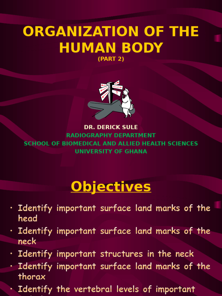 Human Body Organization: Key Landmarks | PDF | Neck | Thorax