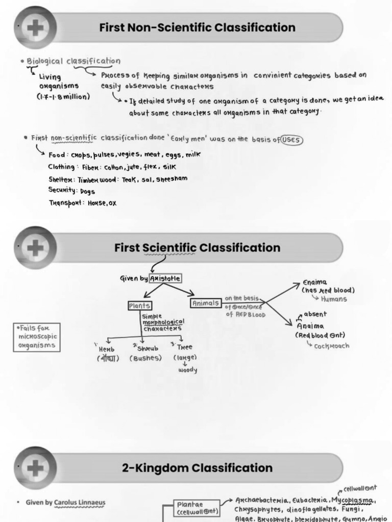 1 (6 Files Merged) 3-Invert - Converted 2 | PDF