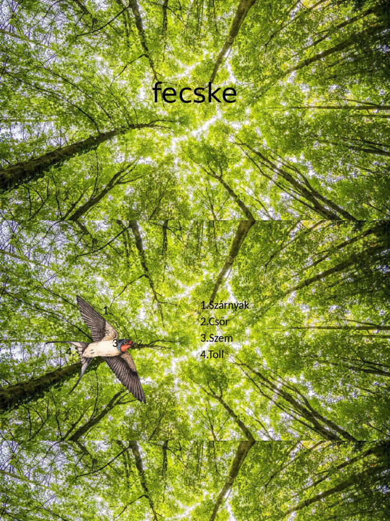 Fecske | PDF