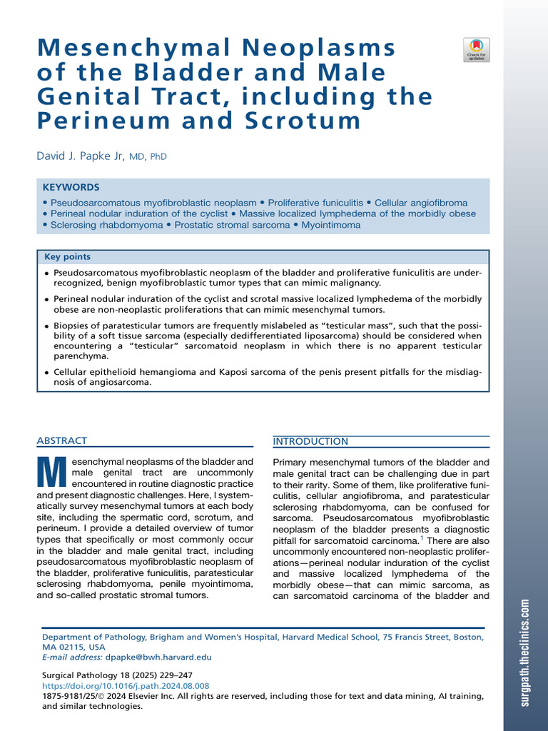Mesenchymal Neoplasms of The Bladder and Male Genital T 2025 Surgical ...