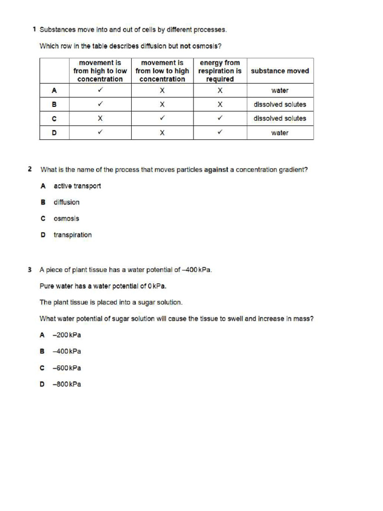 l1 - Mock Test1 | PDF