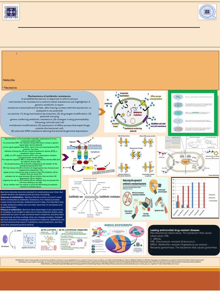 Antibiotic Resistance: Causes and Effects | PDF | Antimicrobial ...