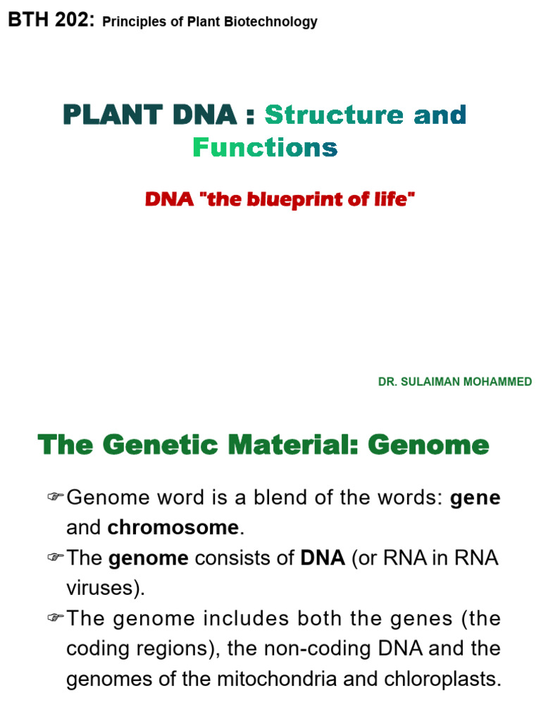 BTH 202 D | PDF | Dna | Chromosome