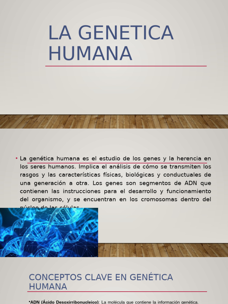 La Genetica Humana | PDF