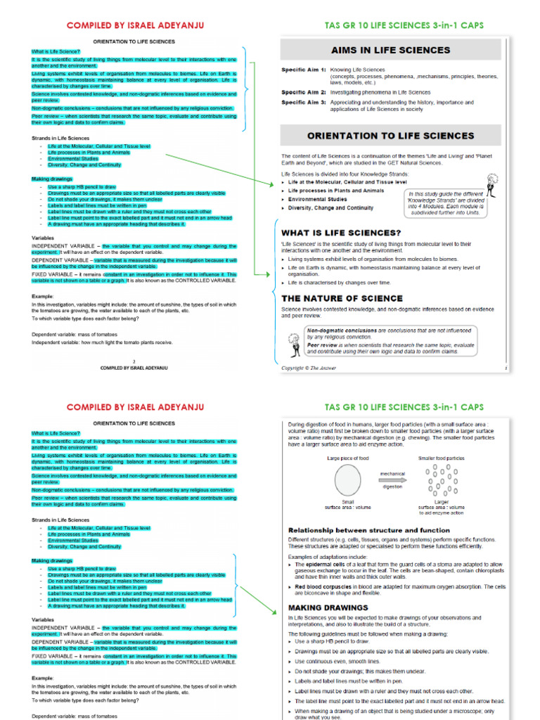 GR 10 LS Showing TAS Work Used by Isreal Adeyanju | PDF