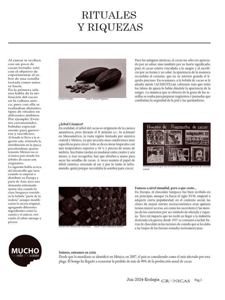 Cronicas Pliego2 Diagramacion de Textos | PDF | Integral | Matemáticas