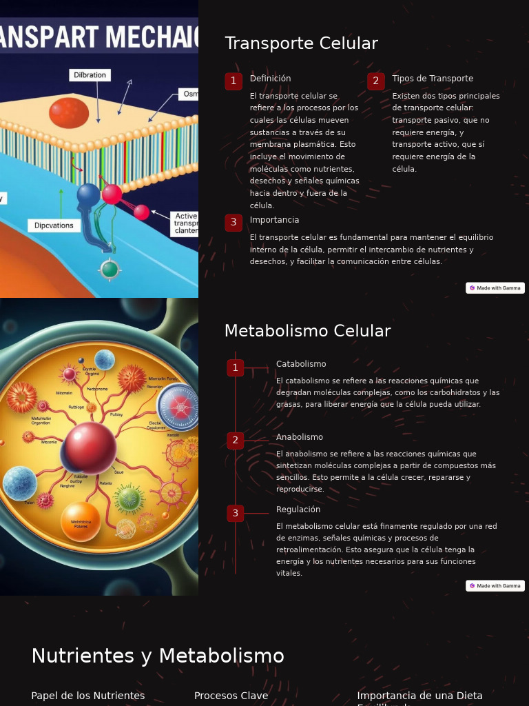 Transporte Celular | PDF | Biología Celular) | Metabolismo