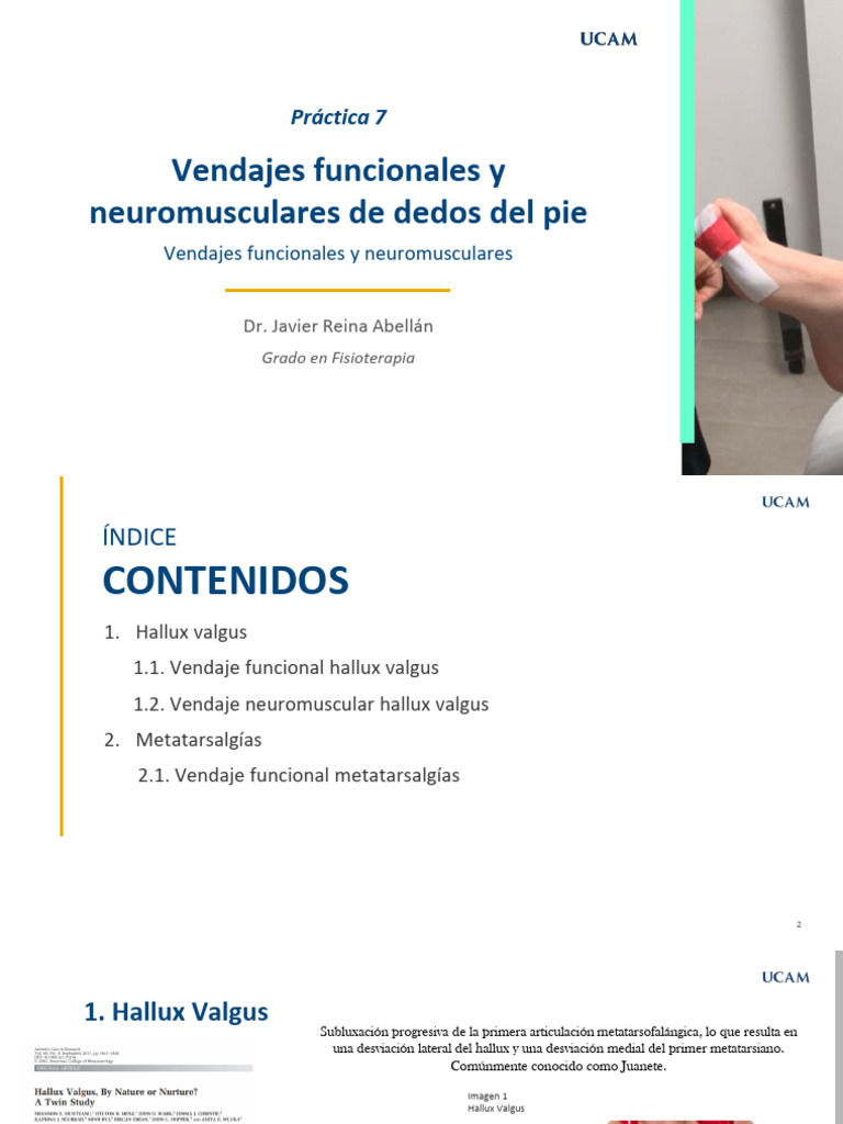 Práctica 7. Dedos Del Pie | PDF | Dedo del pie | Sistema esquelético