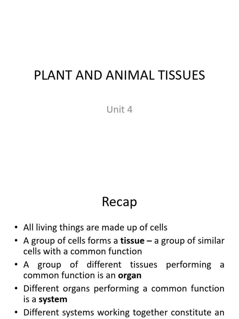 LFSC Grade 10 - Unit 4 - Plant and Animal Tissues | PDF | Tissue ...
