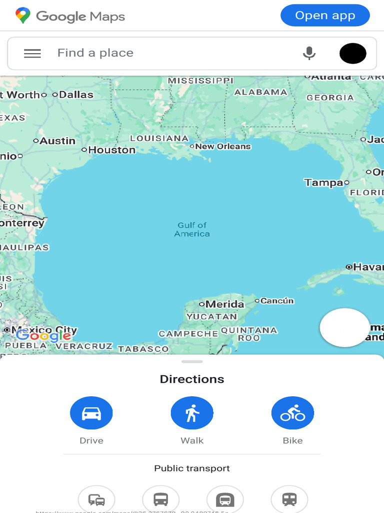 Google Maps | PDF