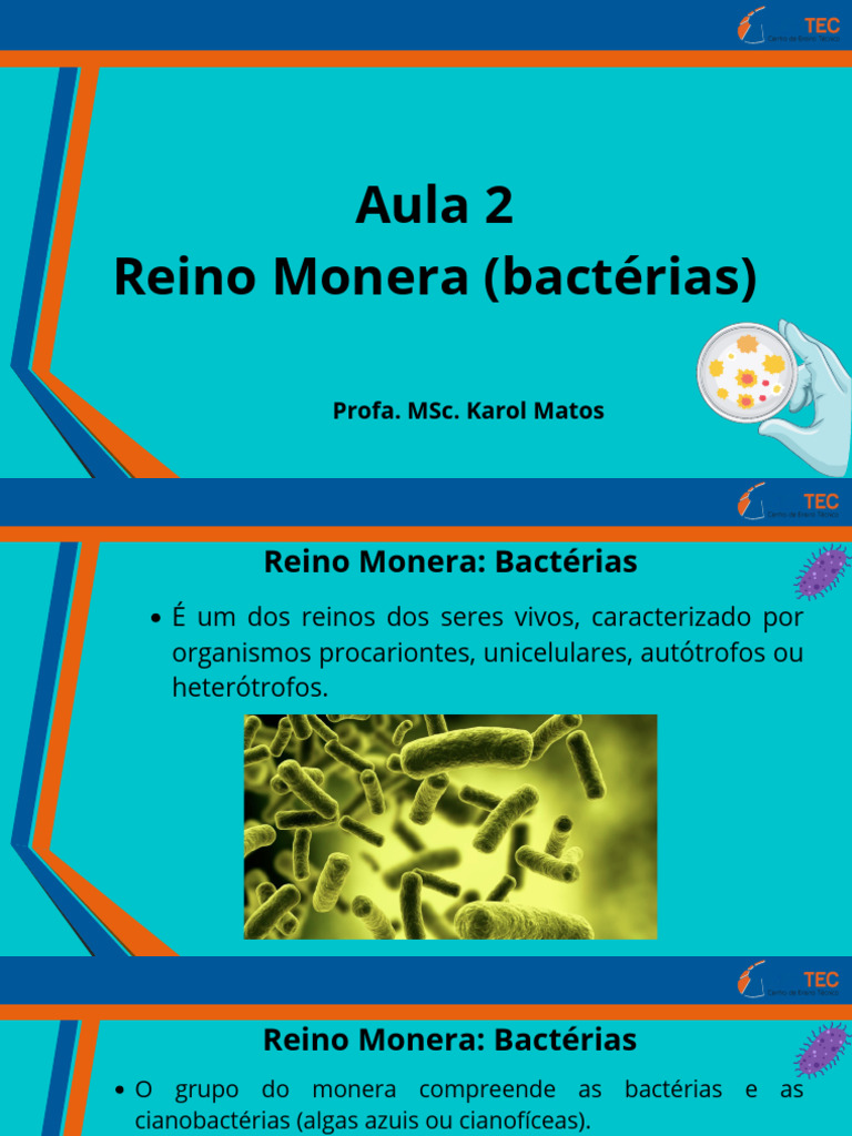 Reino Monera (Bactérias) | PDF | Cianobactéria | Natureza