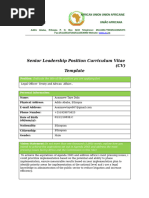 AU CV Template - ENGLISH | PDF | African Union