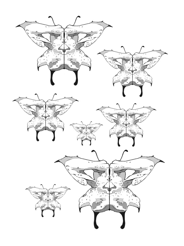 Motyl | PDF
