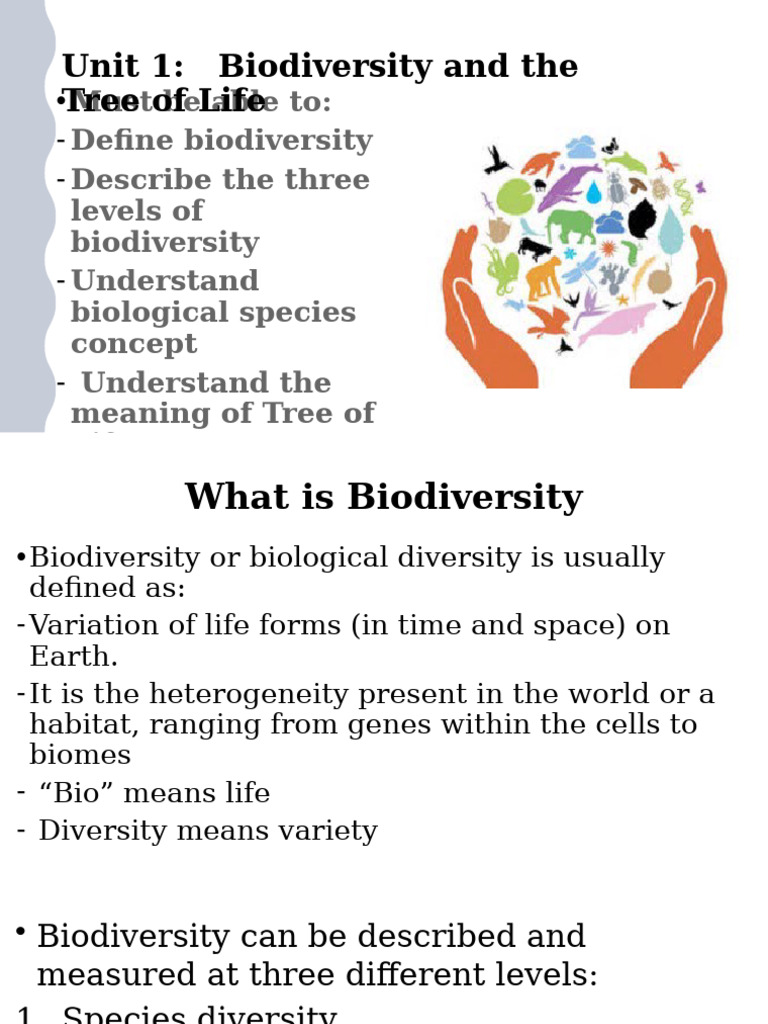 Unit 1 Biodiversity and The Tree of Life | PDF | Biodiversity | Evolution