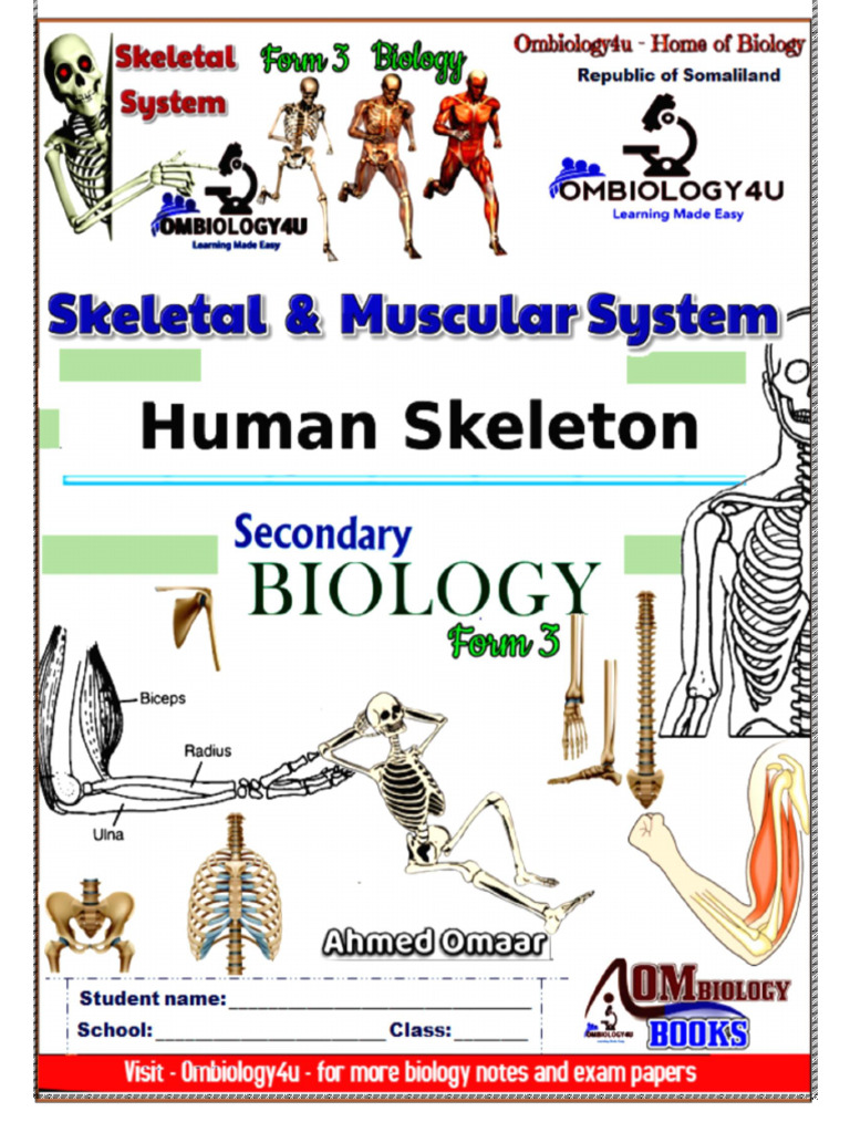 Skeletal and Muscular System Overview | PDF | Vertebral Column | Skeleton