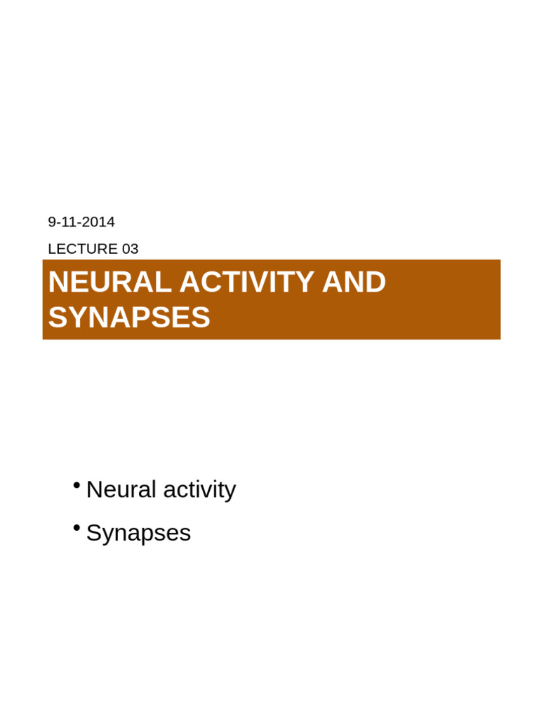 Lecture 2 - Neural Activity and Synapses | PDF | Chemical Synapse ...